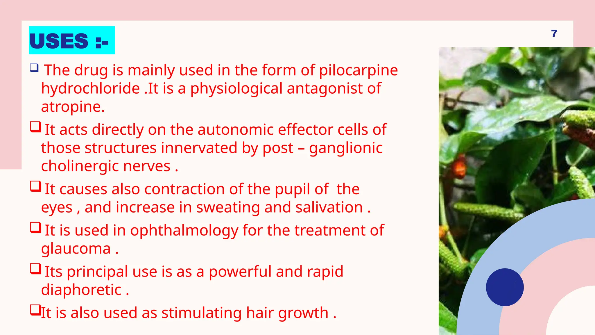 Imidazole alkaloids (pilocarpus).pptx by pritypriya | PPTX