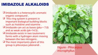 Imidazole alkaloids (pilocarpus).pptx by pritypriya | PPTX