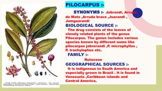 Imidazole alkaloids (pilocarpus).pptx by pritypriya | PPTX