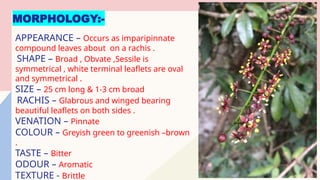 Imidazole alkaloids (pilocarpus).pptx by pritypriya | PPTX