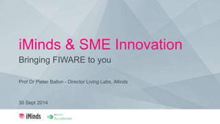 iMinds & SME Innovation | PPTX | Business | Business and Finance