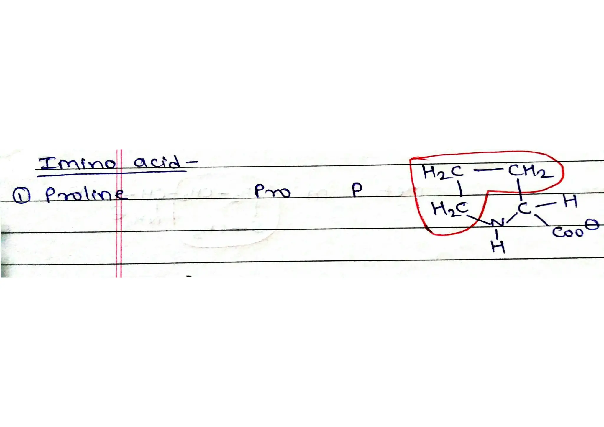 Imino acids | PDF