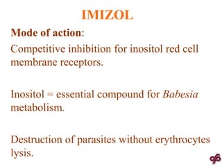 Imizol overview (meo athens mtg) msd antiparasitarios finca productiva ...