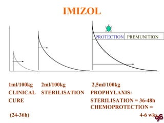Imizol overview (meo athens mtg) msd antiparasitarios finca productiva ...