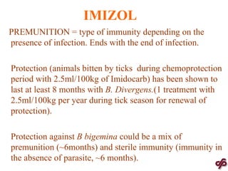 Imizol overview (meo athens mtg) msd antiparasitarios finca productiva ...