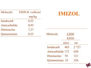 Imizol overview (meo athens mtg) msd antiparasitarios finca productiva ...