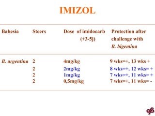 Imizol overview (meo athens mtg) msd antiparasitarios finca productiva ...