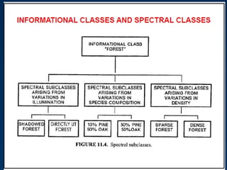 Image classification, remote sensing, P K MANI | PPT