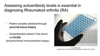 Autoimmunity: Rheumatoid Arthritis | PPT