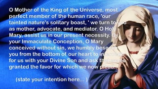 Feast of the Immaculate Conception.pptx