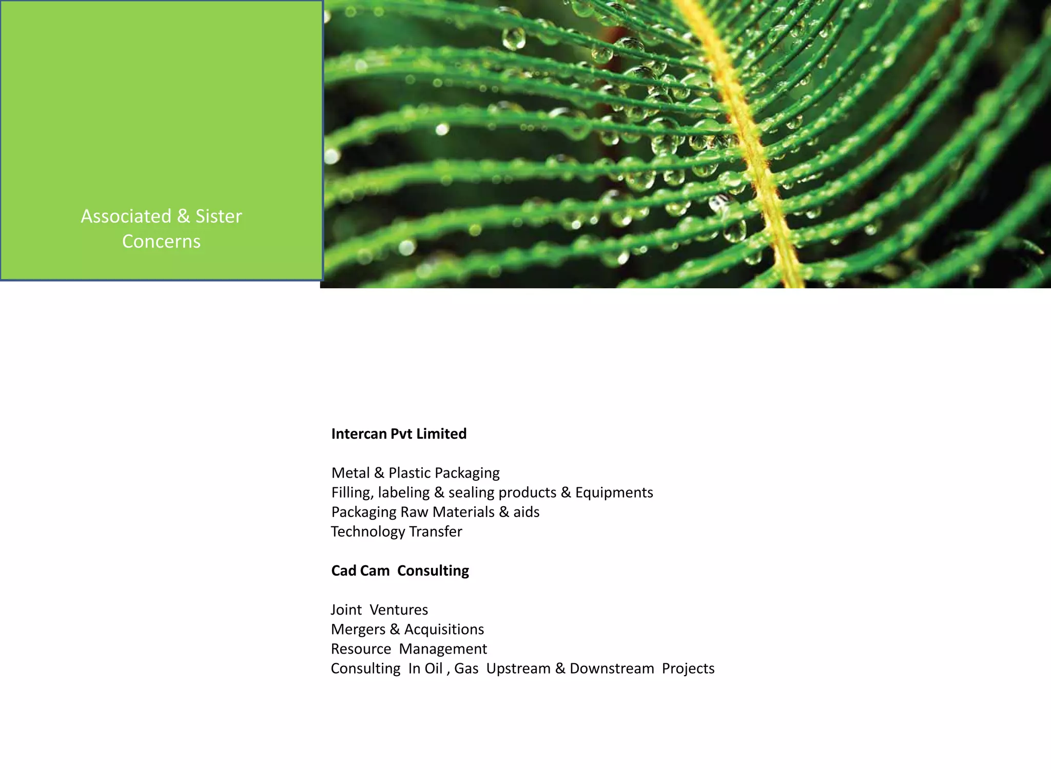 Immaj e brochure 2009 | PDF | Business | Business and Finance