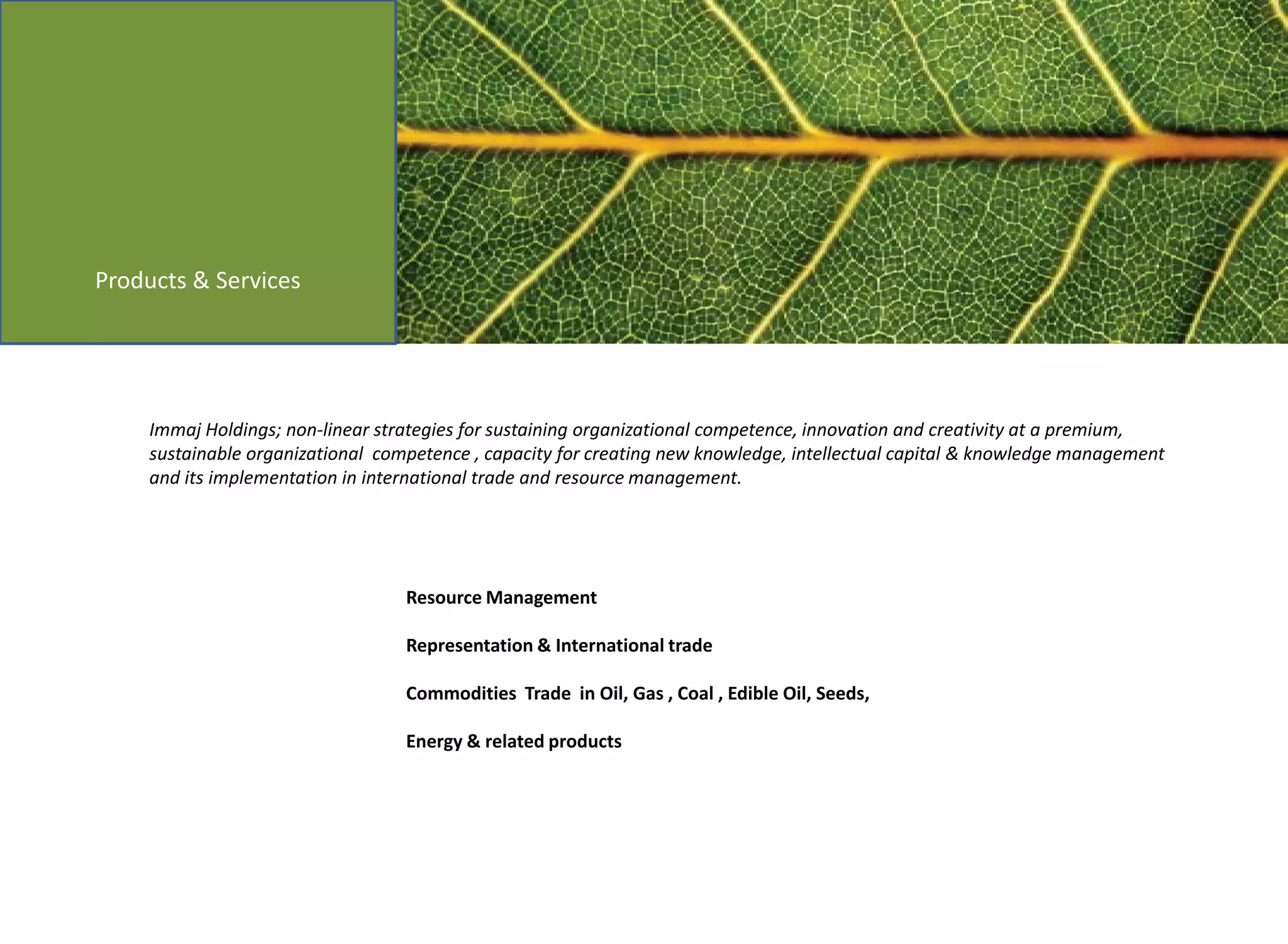 Immaj e brochure 2009 | PDF | Business | Business and Finance