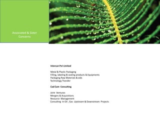 Immaj e brochure 2009 | PDF | Business | Business and Finance