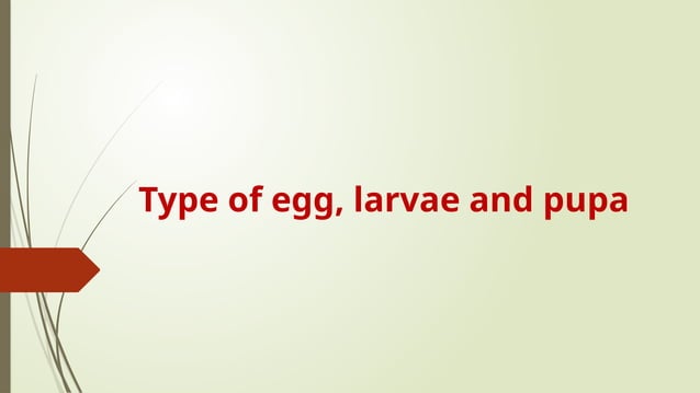 Immature stages of insects ;Types of egg, larvae and pupa | PPTX | Biological Sciences | Science