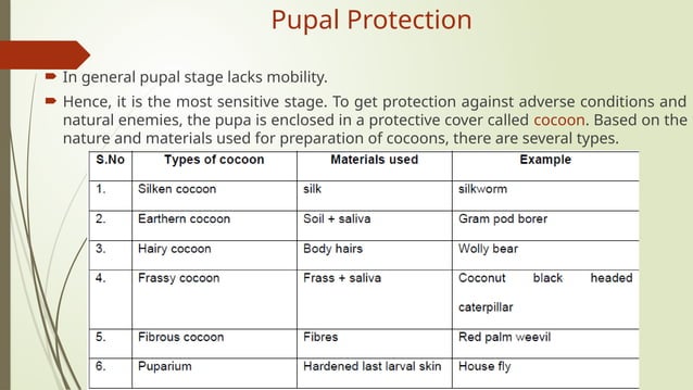 Immature stages of insects ;Types of egg, larvae and pupa | PPTX ...