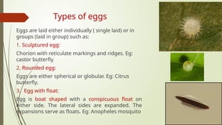 Immature stages of insects ;Types of egg, larvae and pupa | PPTX