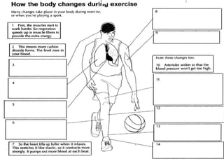 Immediate effects-of-exercise | PPSX