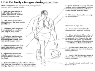 Immediate effects-of-exercise | PPSX
