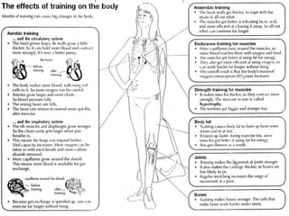 Immediate effects-of-exercise | PPSX