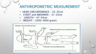 Immediate care of new born baby | PPTX