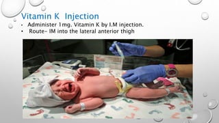 Immediate care of new born baby | PPTX