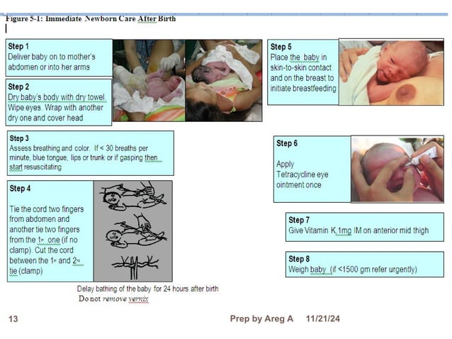 Immediate newborn care power point presentation .ppt