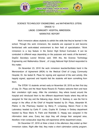 Immersion Narrative report 2018-19.docx