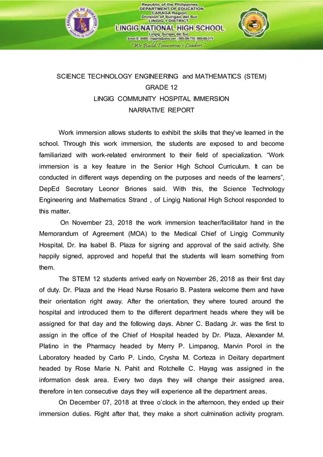 Immersion Narrative report 2018-19.docx | Professional School ...