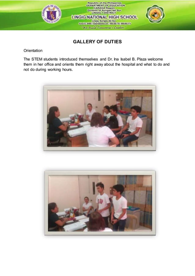 Immersion Narrative report 2018-19.docx | Professional School ...