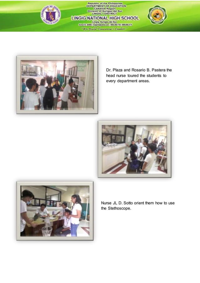 Immersion Narrative report 2018-19.docx | Professional School ...