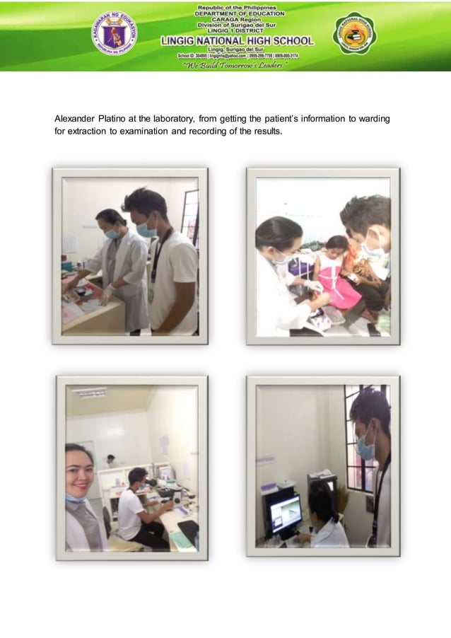 Immersion Narrative report 2018-19.docx | Professional School ...