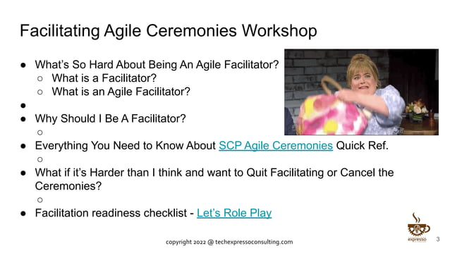 Immersive Facilitator Workshop Introduction | PDF