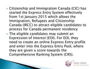 Immigration and visa Consultant 2.pptx