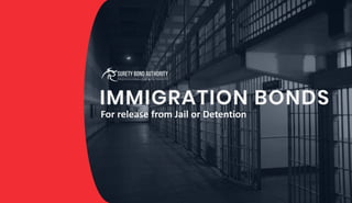 Immigration Bond: for release from Jail or Detention | PDF
