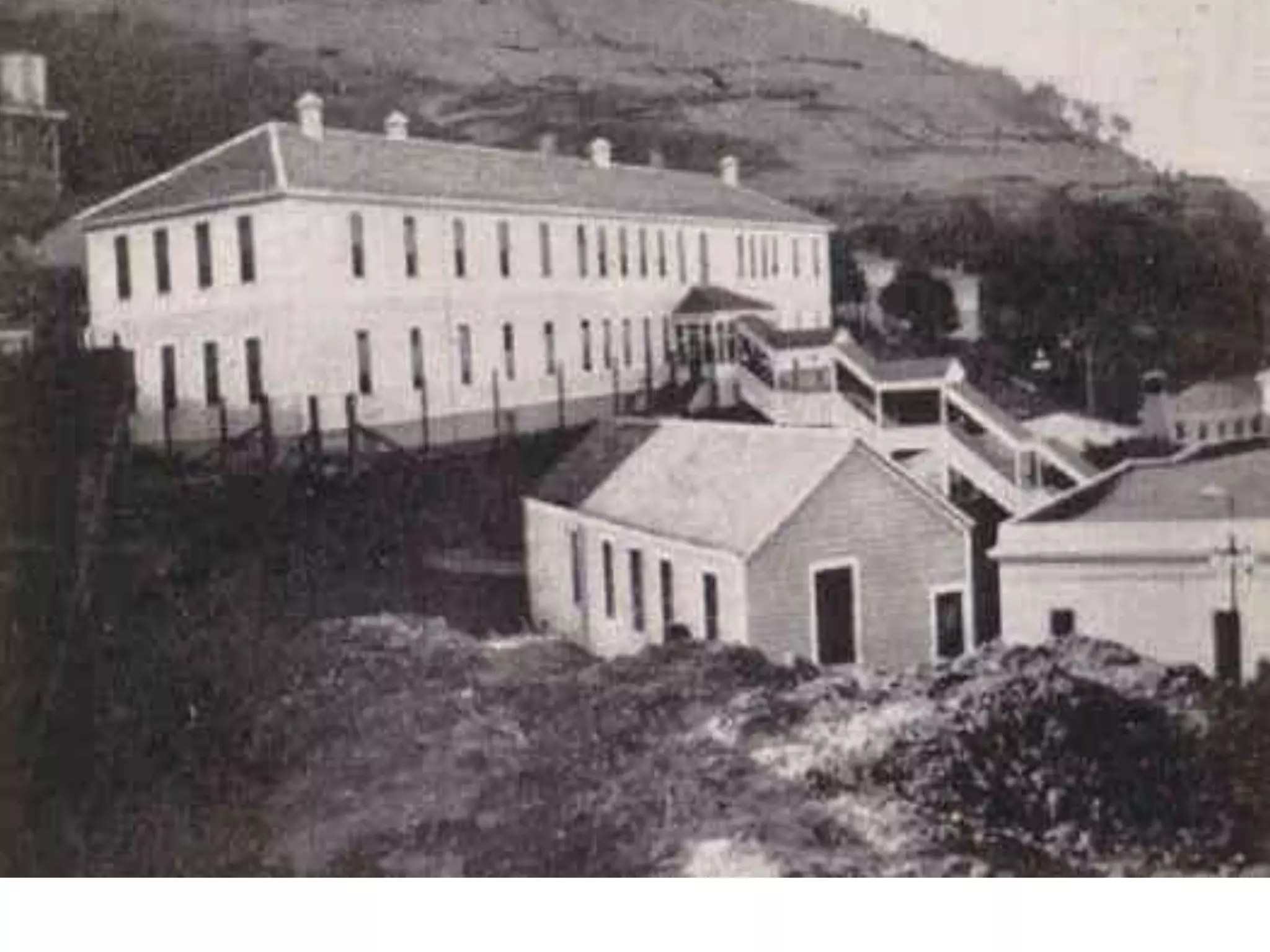 Riley_immigration | PPT