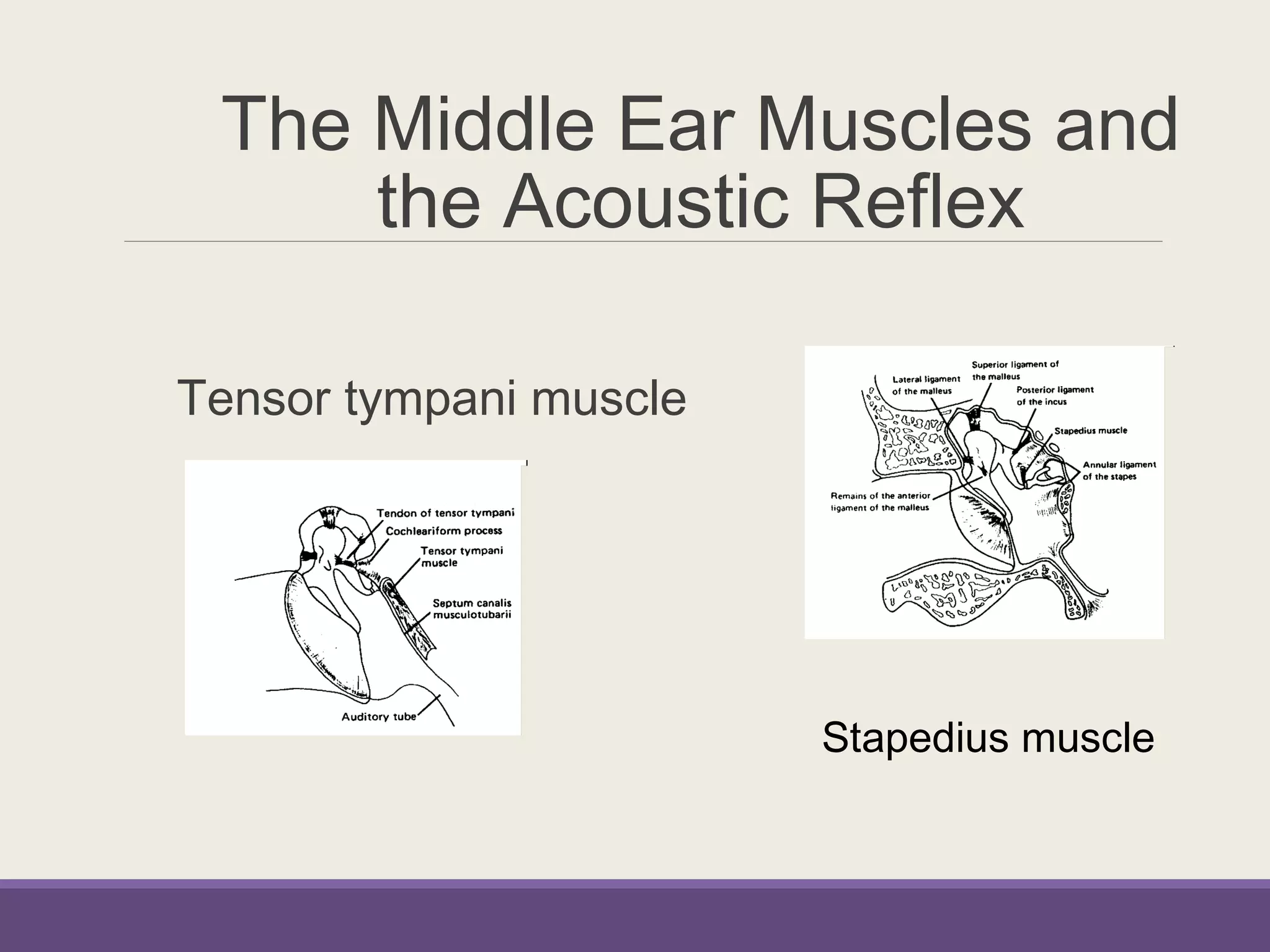 Immittance audiometry | PPT