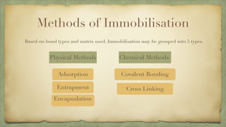Immobilisation.pdf