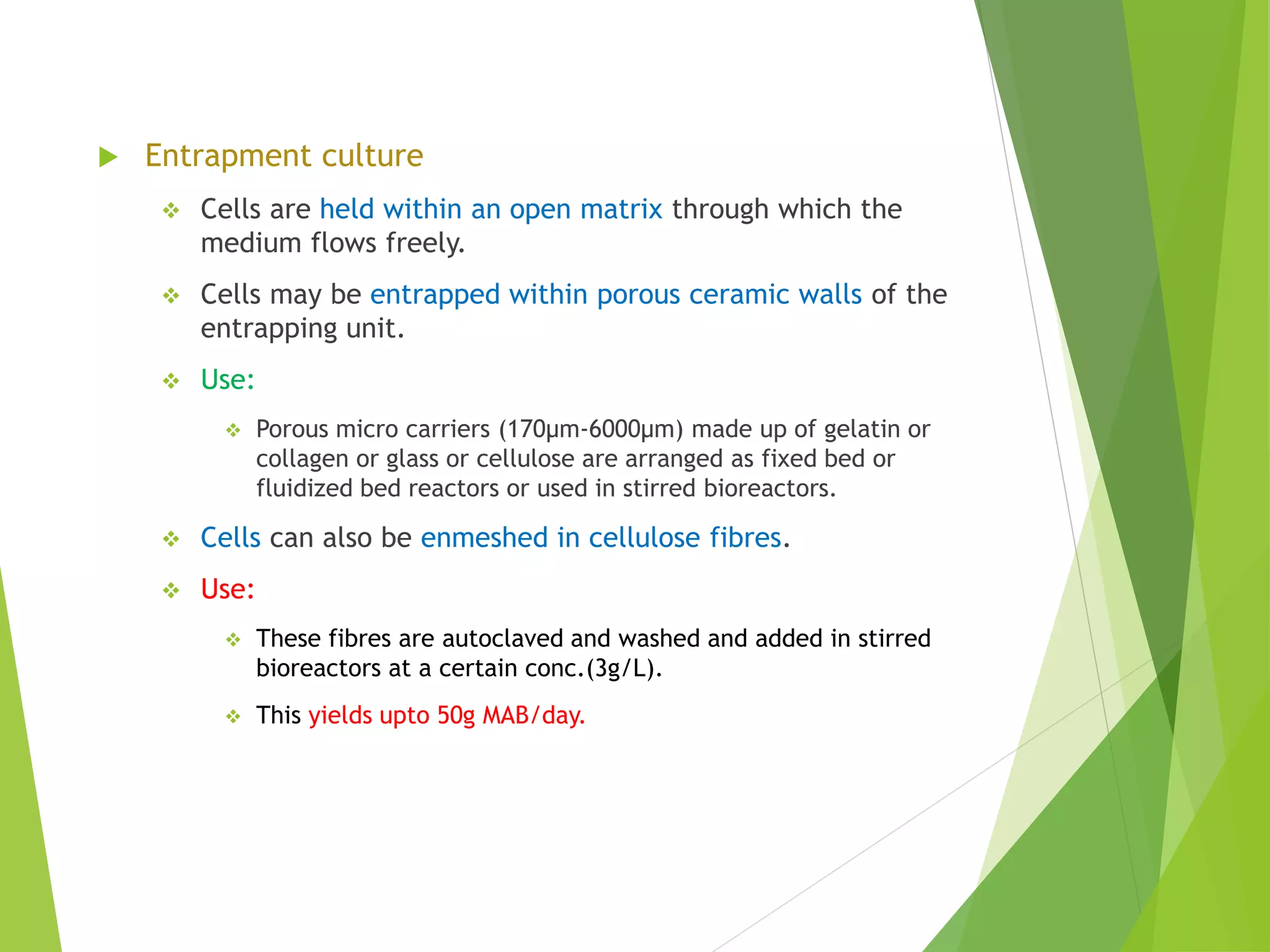 Immobilisation cell culture | PPTX