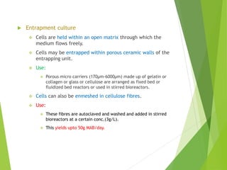 Immobilisation cell culture | PPTX