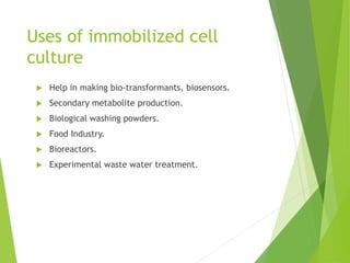 Immobilisation cell culture | PPTX