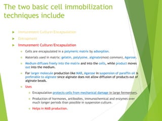 Immobilisation cell culture | PPTX