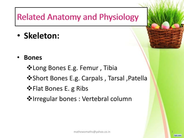 Transfer of patients,Shifting of patients ,Range of Motion & Immobility ...