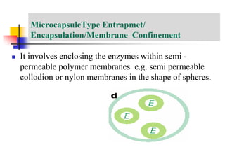 Immobilization | PPT