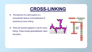 immobilization. of miceobial cells. enzymes | PPTX