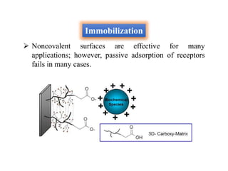 Immobilization of-biomolecules-on-biosensors | PPTX | Chemistry | Science