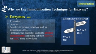 Immobilization-Stabilization (2).pptx