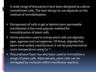 Immobilization of cells | PPTX