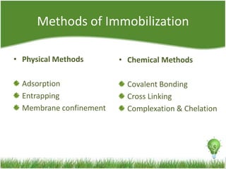 Immobilization Of Enzymes | PPTX
