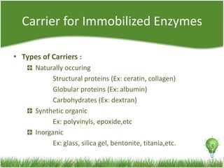Immobilization Of Enzymes | PPTX