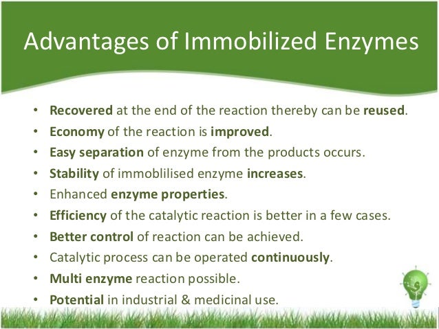 Immobilization Of Enzymes